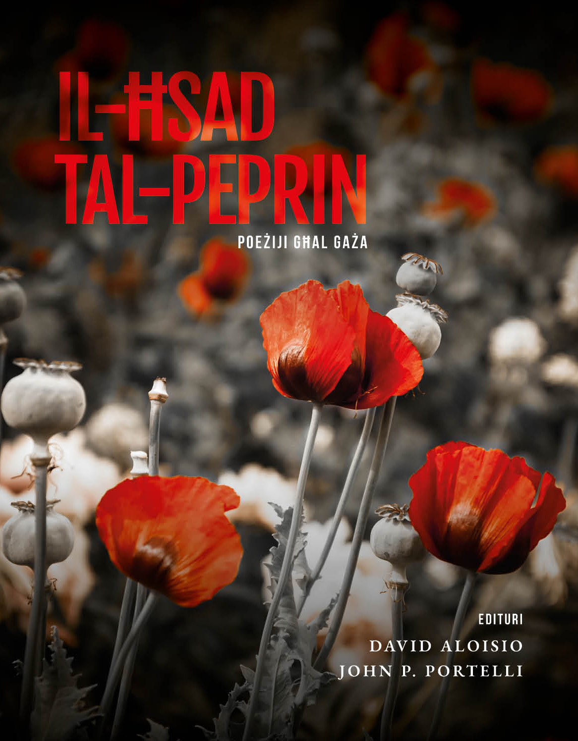 IL-Ħsad tal-Peprin - Horizons